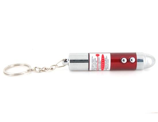 2 In 1 Shock Red Beam Laser Pointer With Keychain