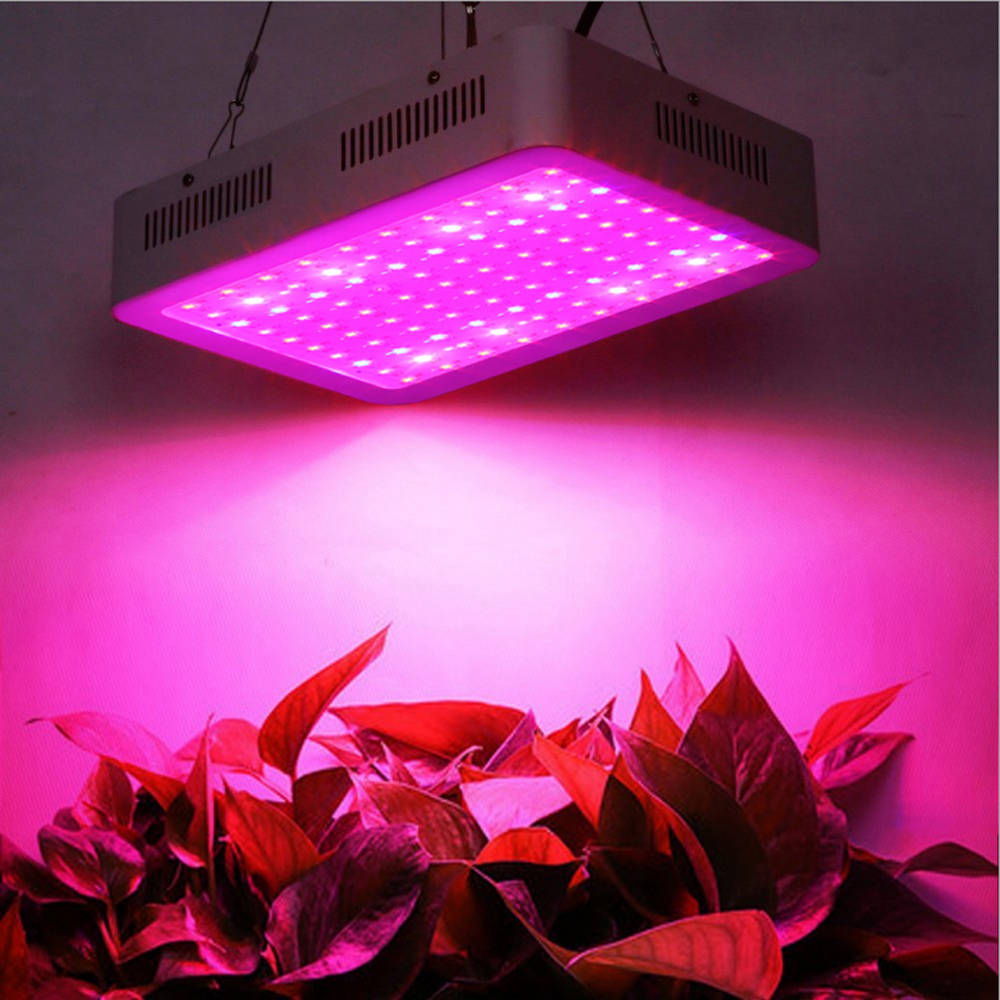 LED Light Indoor Plants Growing Lamp 300W White
