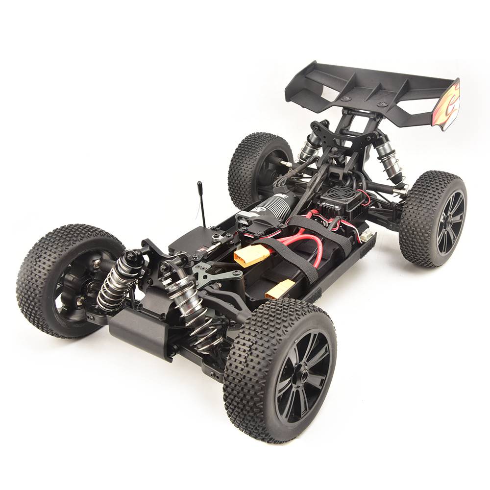 FS Racing FS33651P Brushless Buggy RC Car
