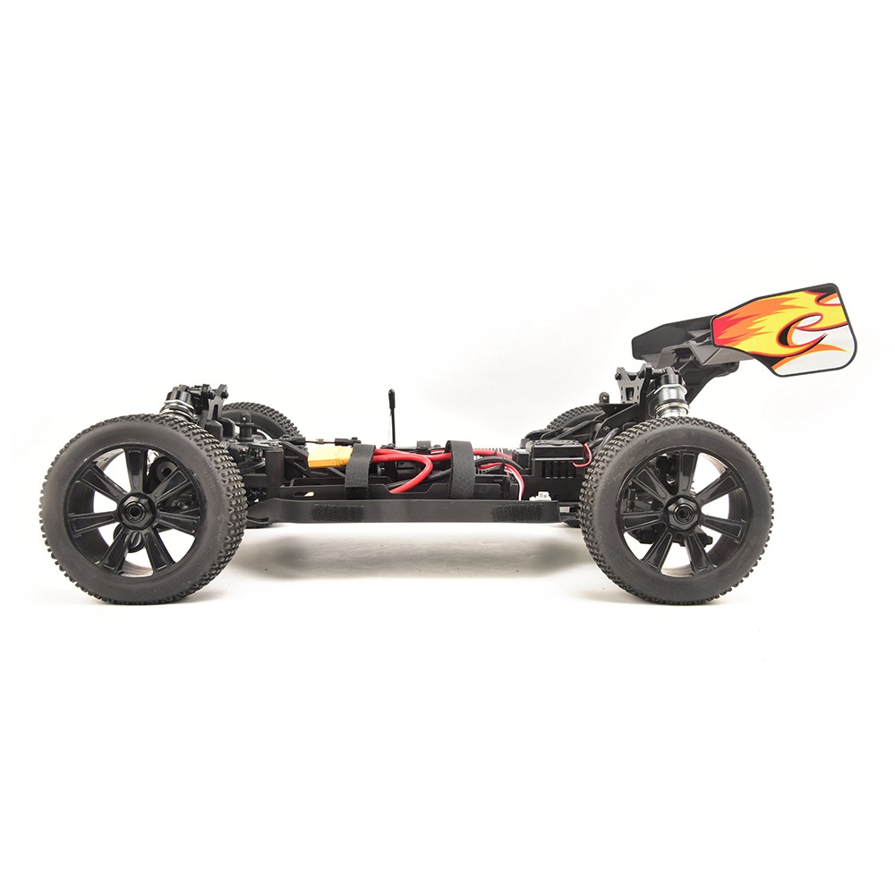 FS Racing FS33651P Brushless Buggy RC Car