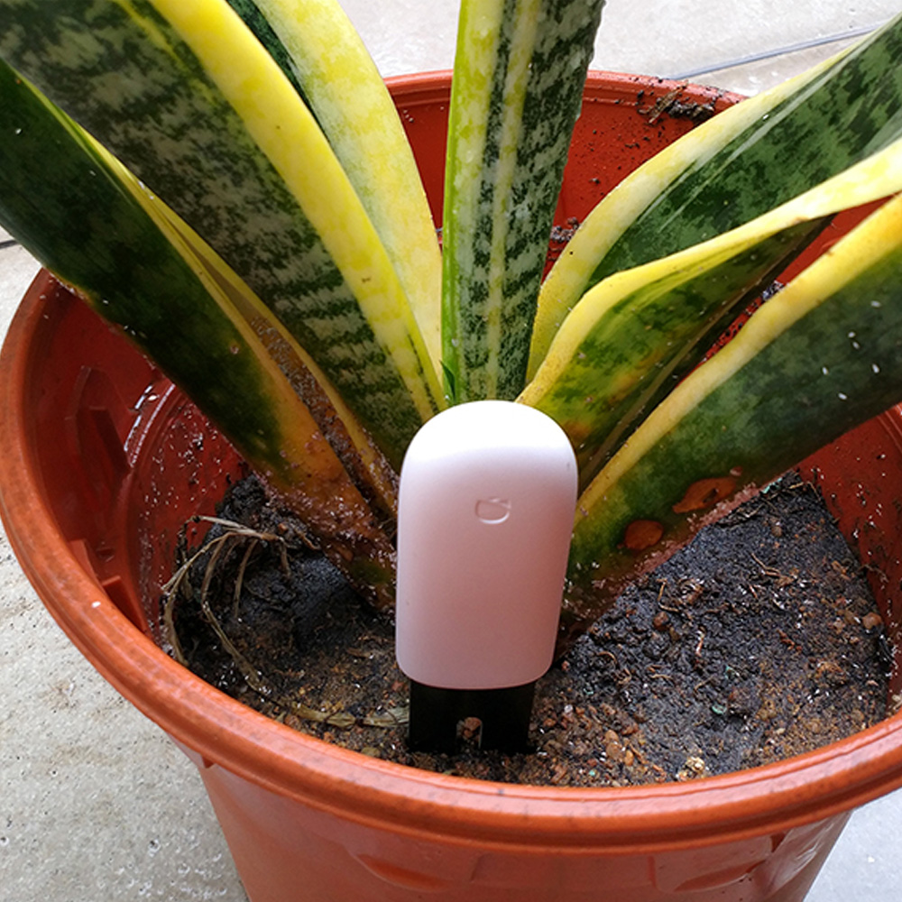 Xiaomi Flora Flower Monitor Light Green
