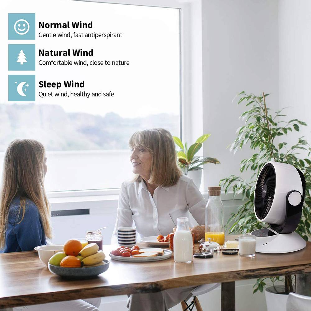 Portable Intelligent Electric Desktop Air Circulation Fan White