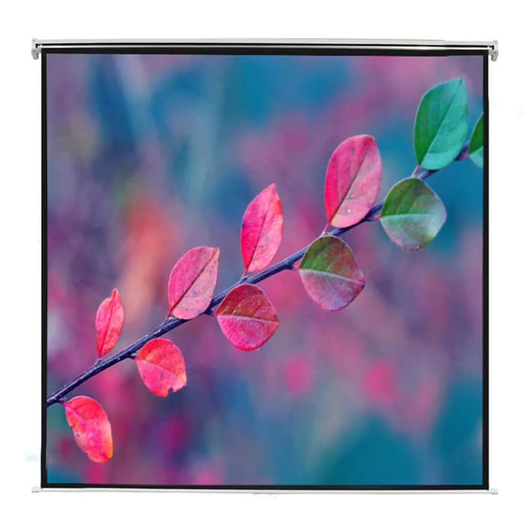 Manual Projection Screen 160x90 cm Matt White 16:9 Wall Ceiling Mount