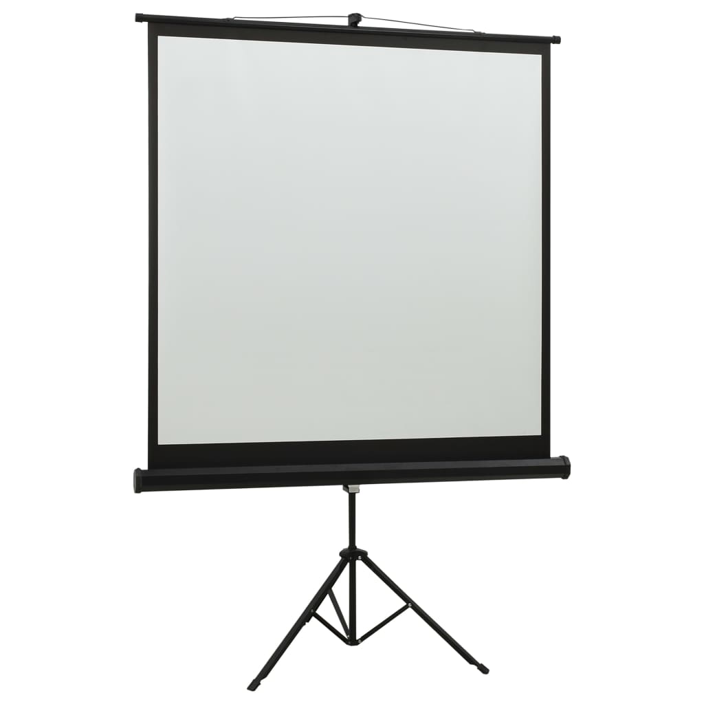 Projection Screen with Stand 48" 1:1