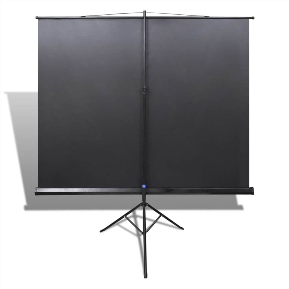 Manual Projection Screen with Height Adjustable Stand 160 x 160 cm 1:1