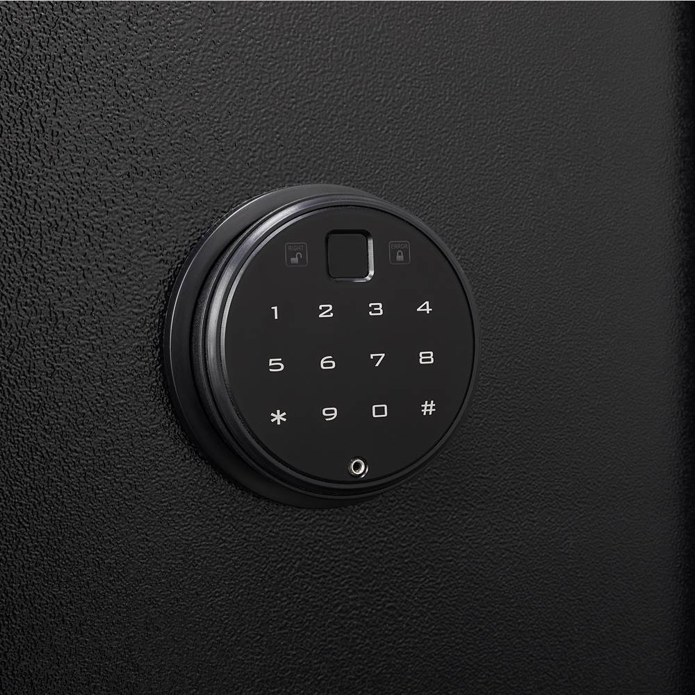 Dual Door Biometric Identification Steel Safety Cabinet Black