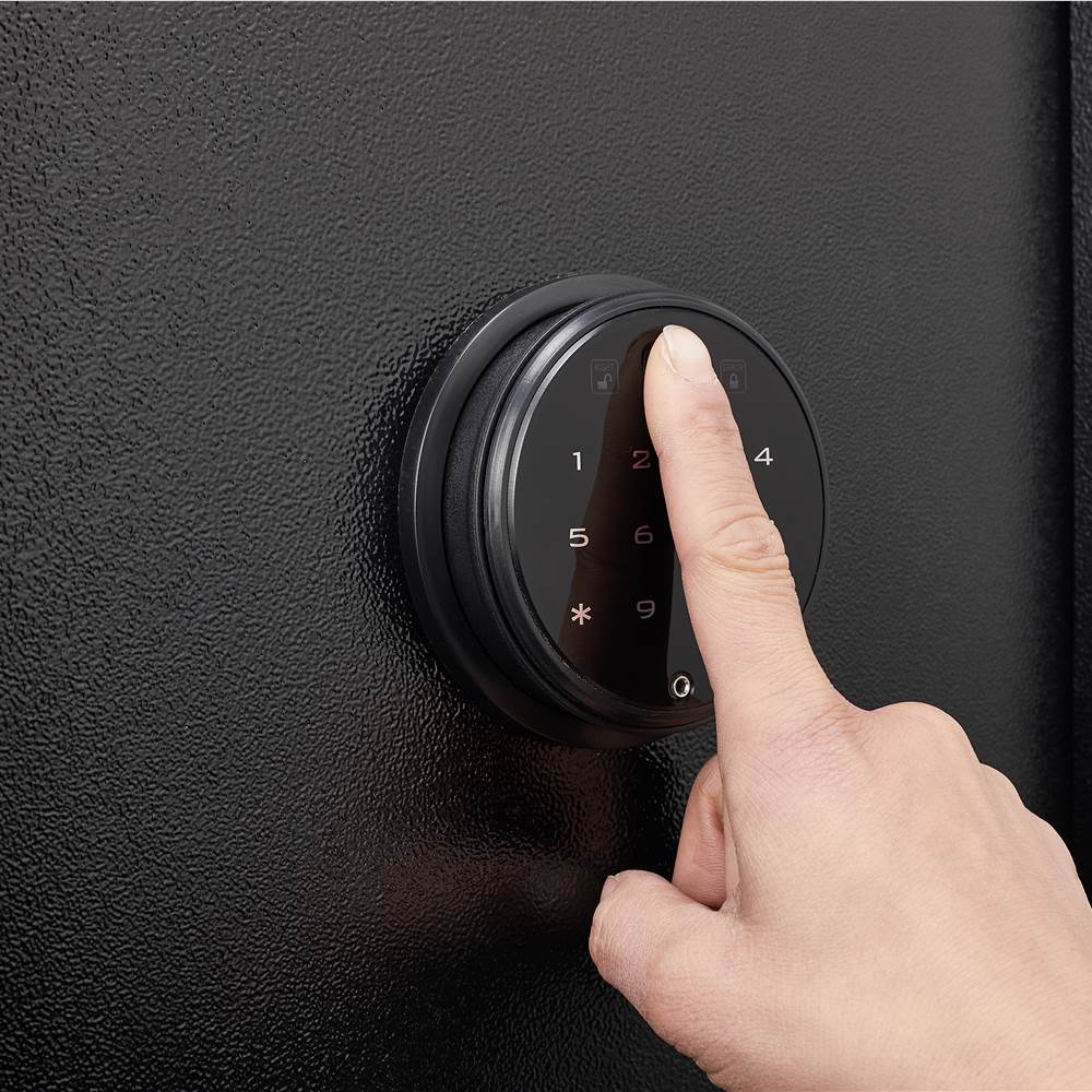 Dual Door Biometric Identification Steel Safety Cabinet Black