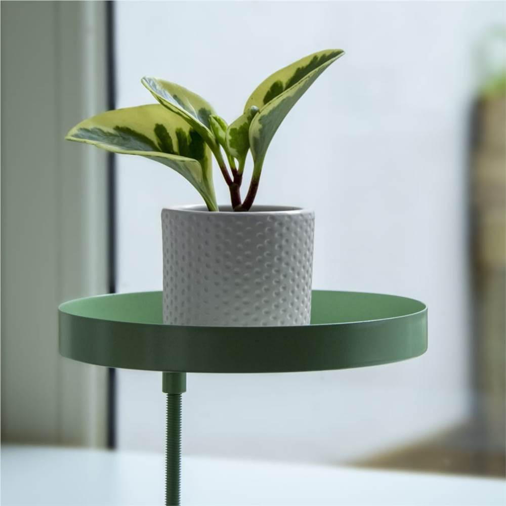 Esschert Design Plant Tray with Clamp Round Green M