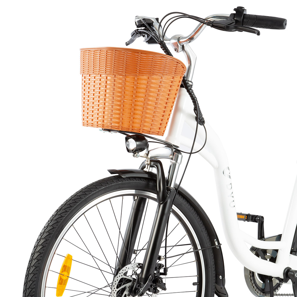 DYU C6 Electric Bicycle | Europe