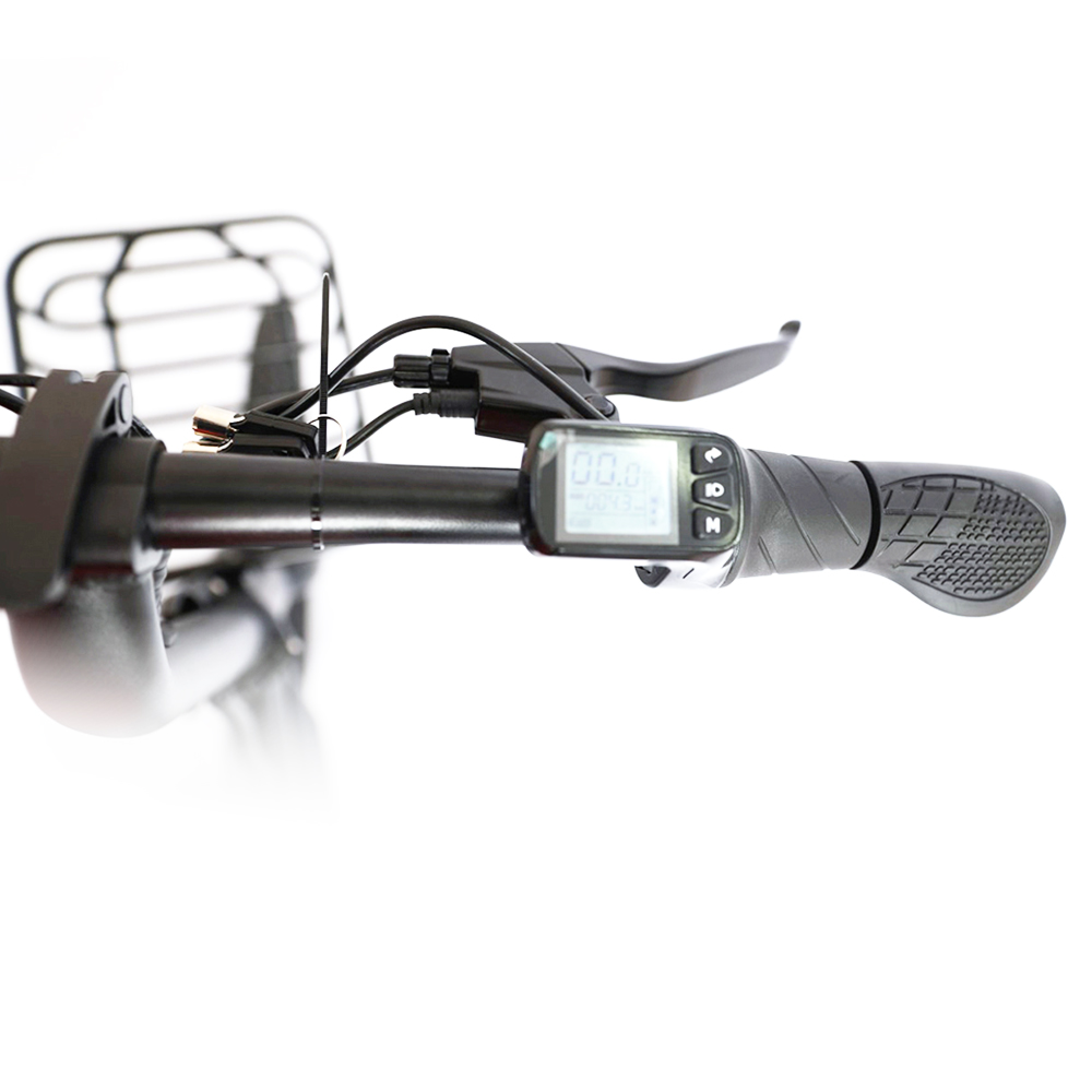 DYU D20 Electric Bicycle 250W Motor 36V 10AH - Black