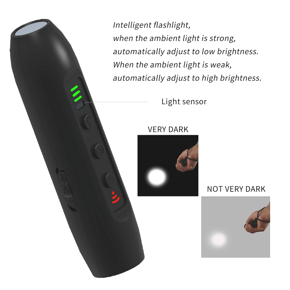 N10 Handheld Dog Training Device