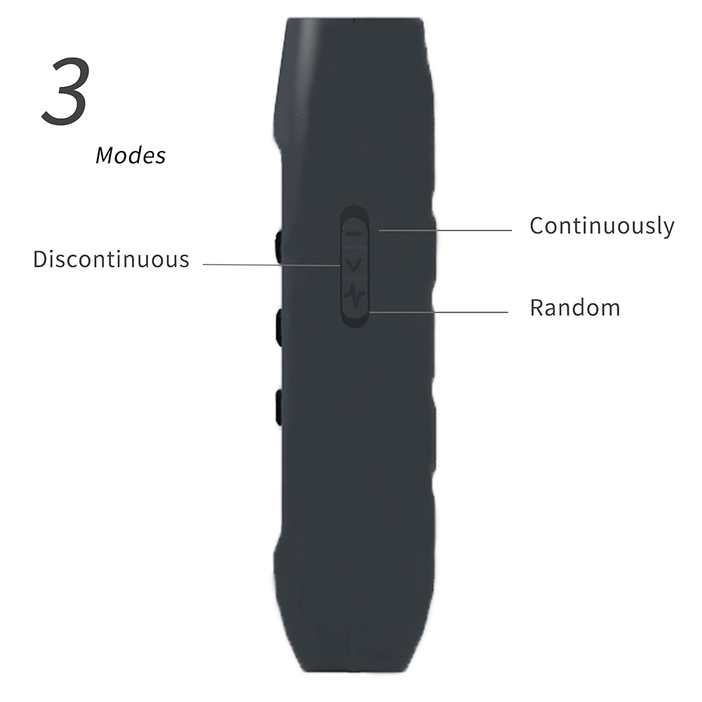 N10 Handheld Dog Training Device