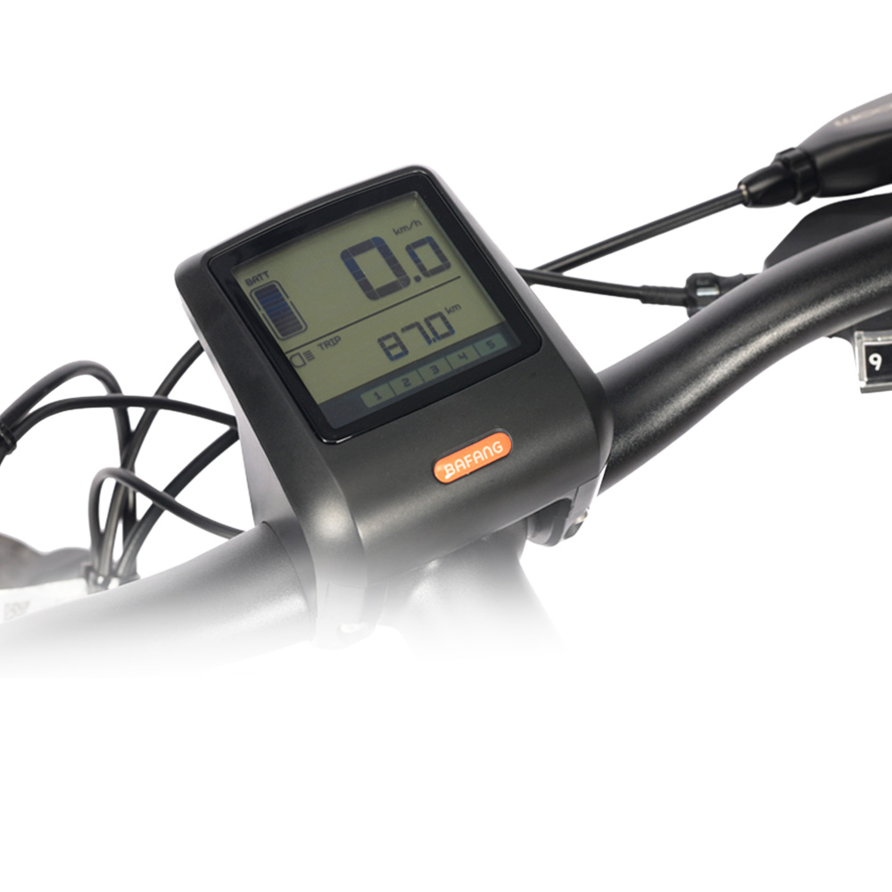 ESKUTE Polluno Pro Electric Bicycle 250W Mid-drive Motor