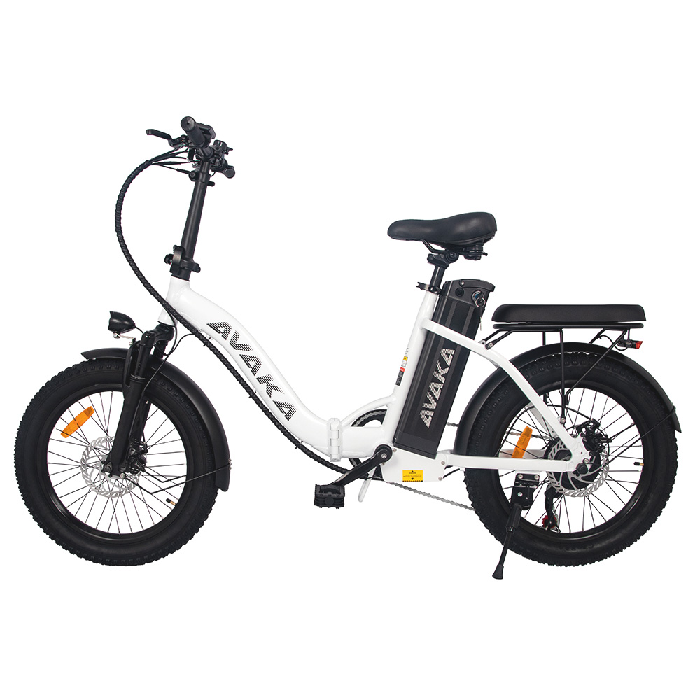 AVAKA BZ20 PLUS Electric Bike 20 Inch 500W 25KM/H 48V 15AH Black