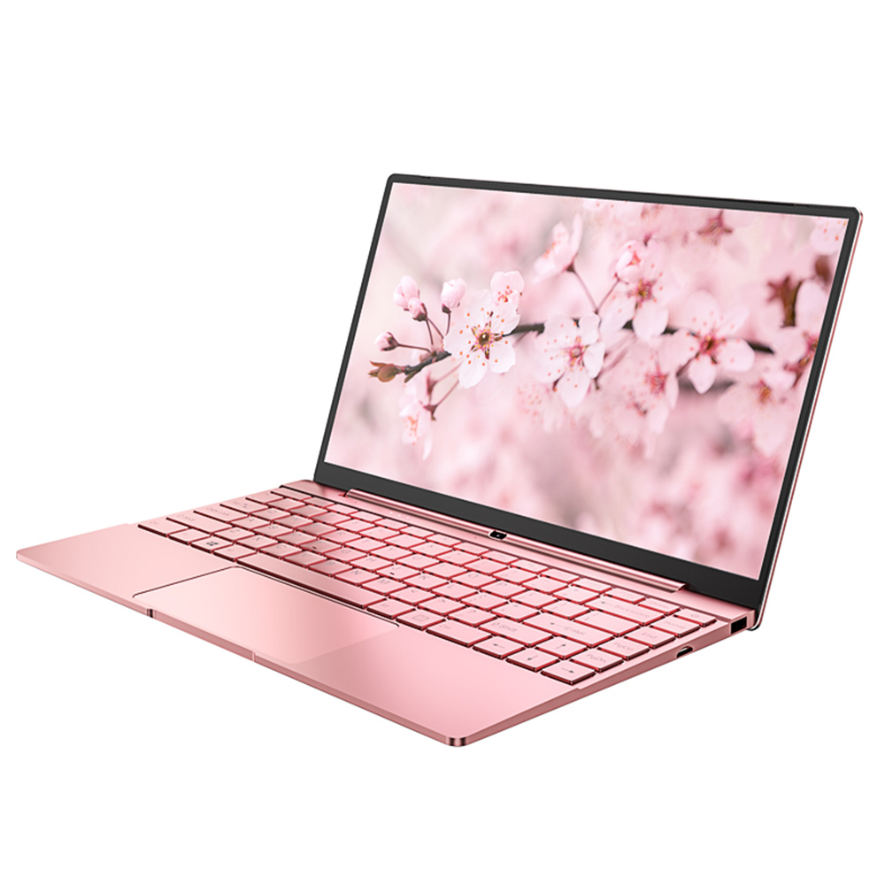 Daysky V14S Laptop 14.1 Inch Intel Celeron N5095 12GB RAM 256GB Pink