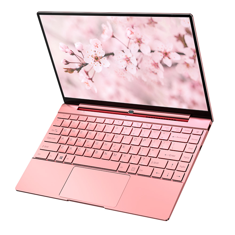 Daysky V14S Laptop 14.1 Inch Intel Celeron N5095 12GB RAM 256GB Pink