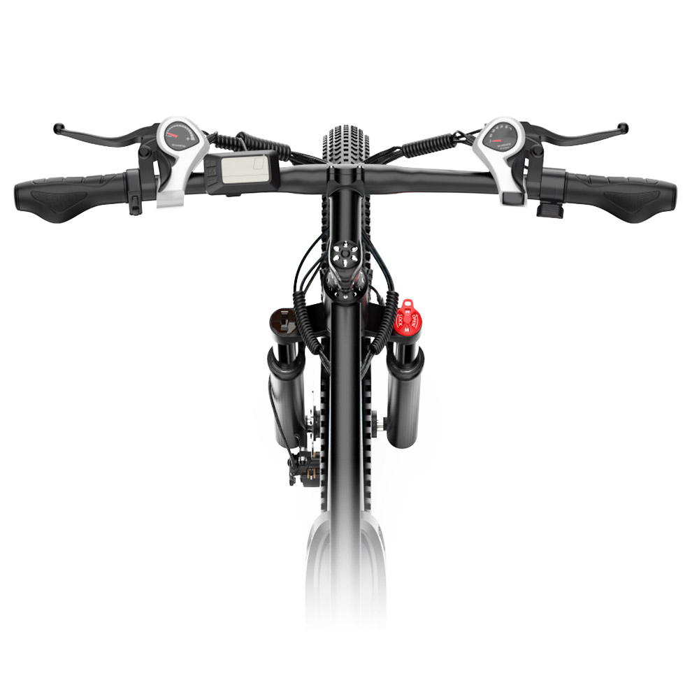 DUOTTS C29 750W 48V 15Ah Electric Mountain Bike