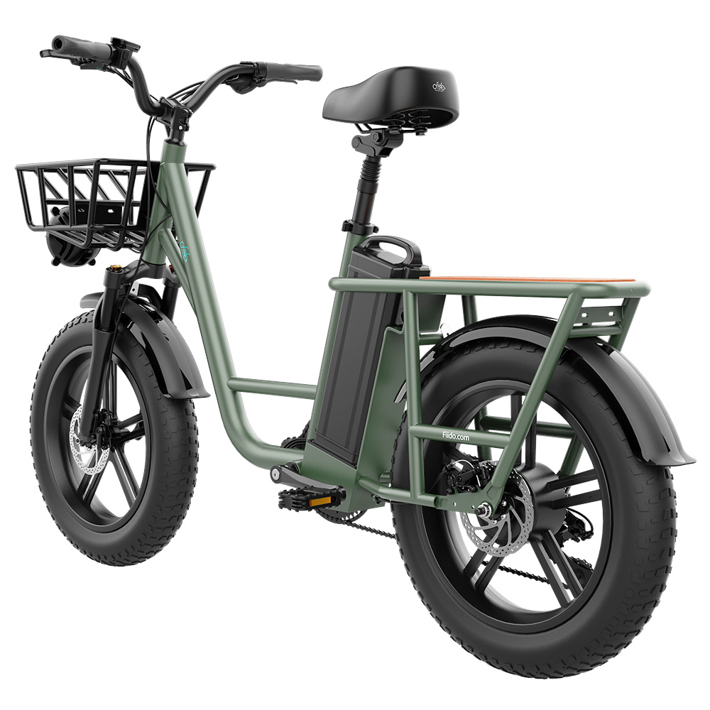 FIIDO T1 Cargo Electric Bike 20 Inch 50Km/h 48V 20AH 750W Motor Green