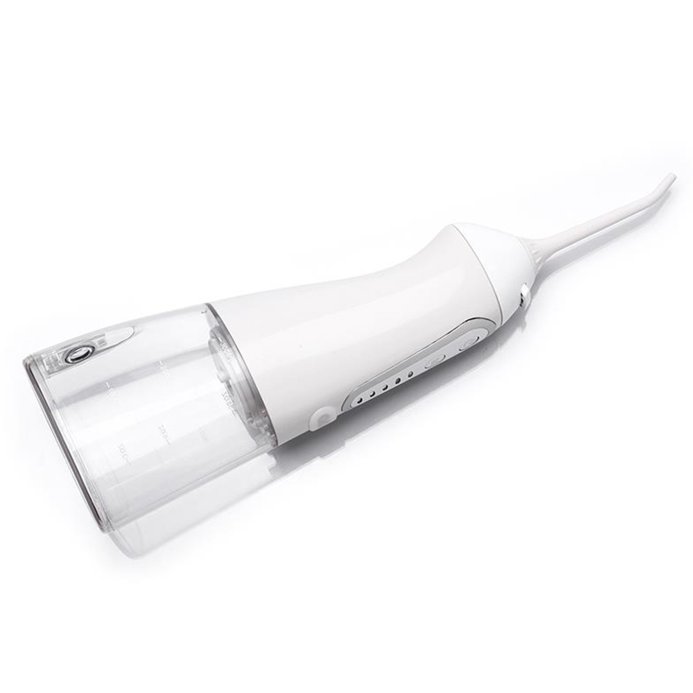WF203 Teeth Punch Dental Cleaner