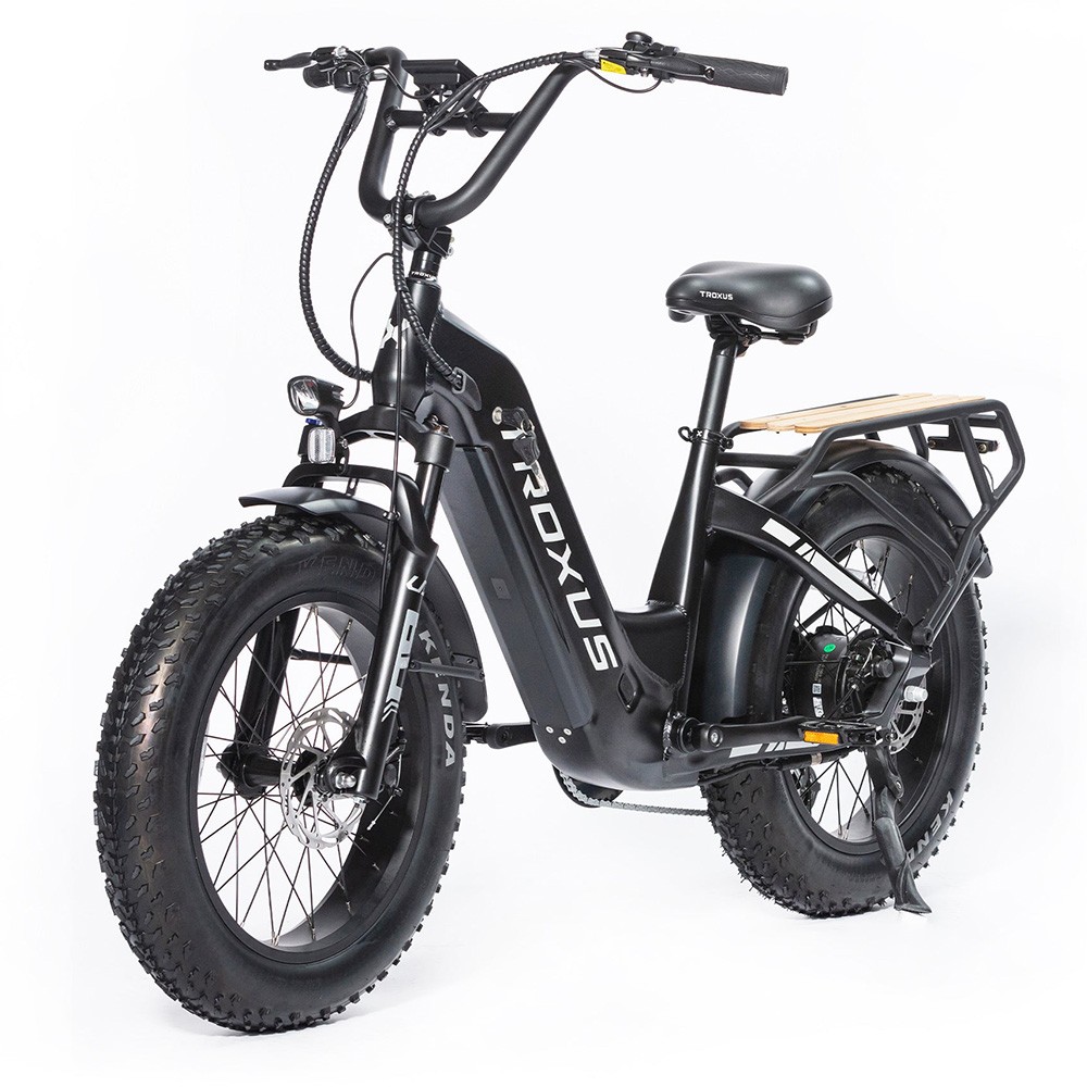 Troxus Lynx 20'' Electric Bike 750W Motor 45Km/h Speed 48V 20Ah Black