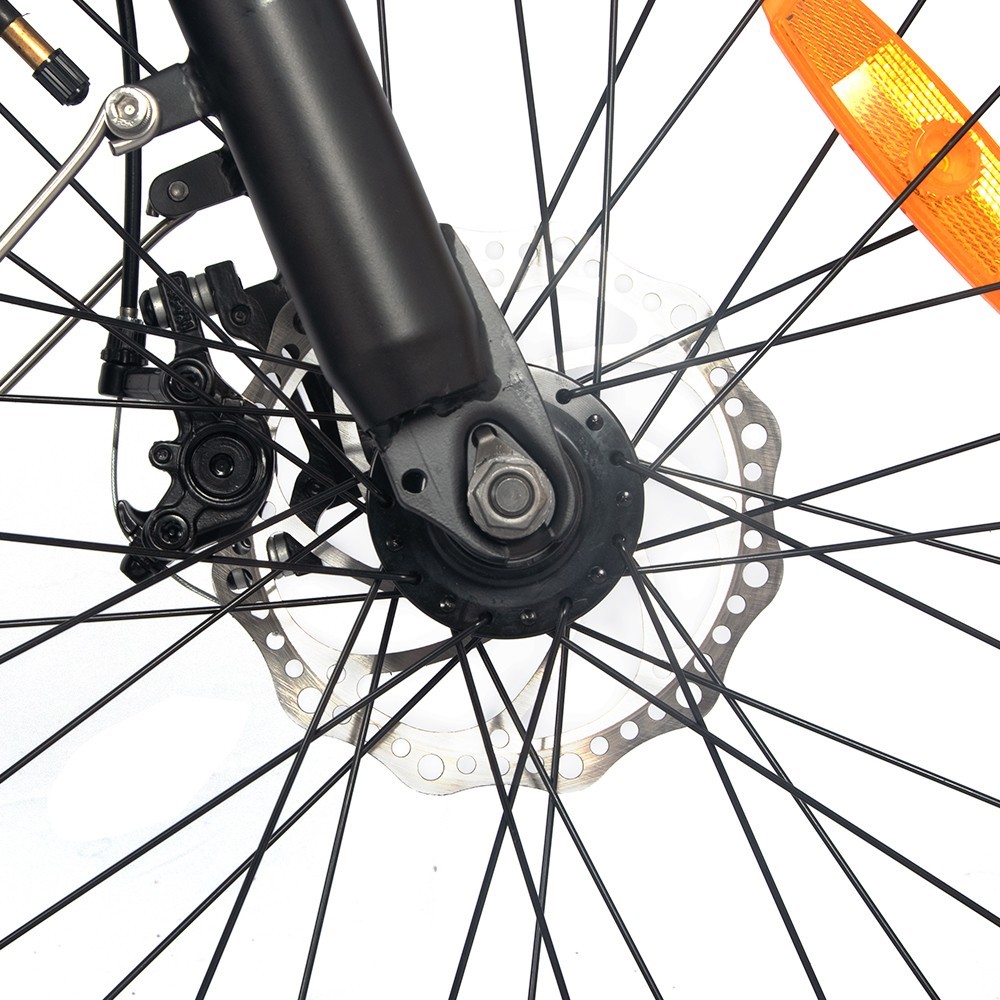 BK10 Electric Bike 20 Inch 48V 500W Motor 10AH 25Km/h Speed