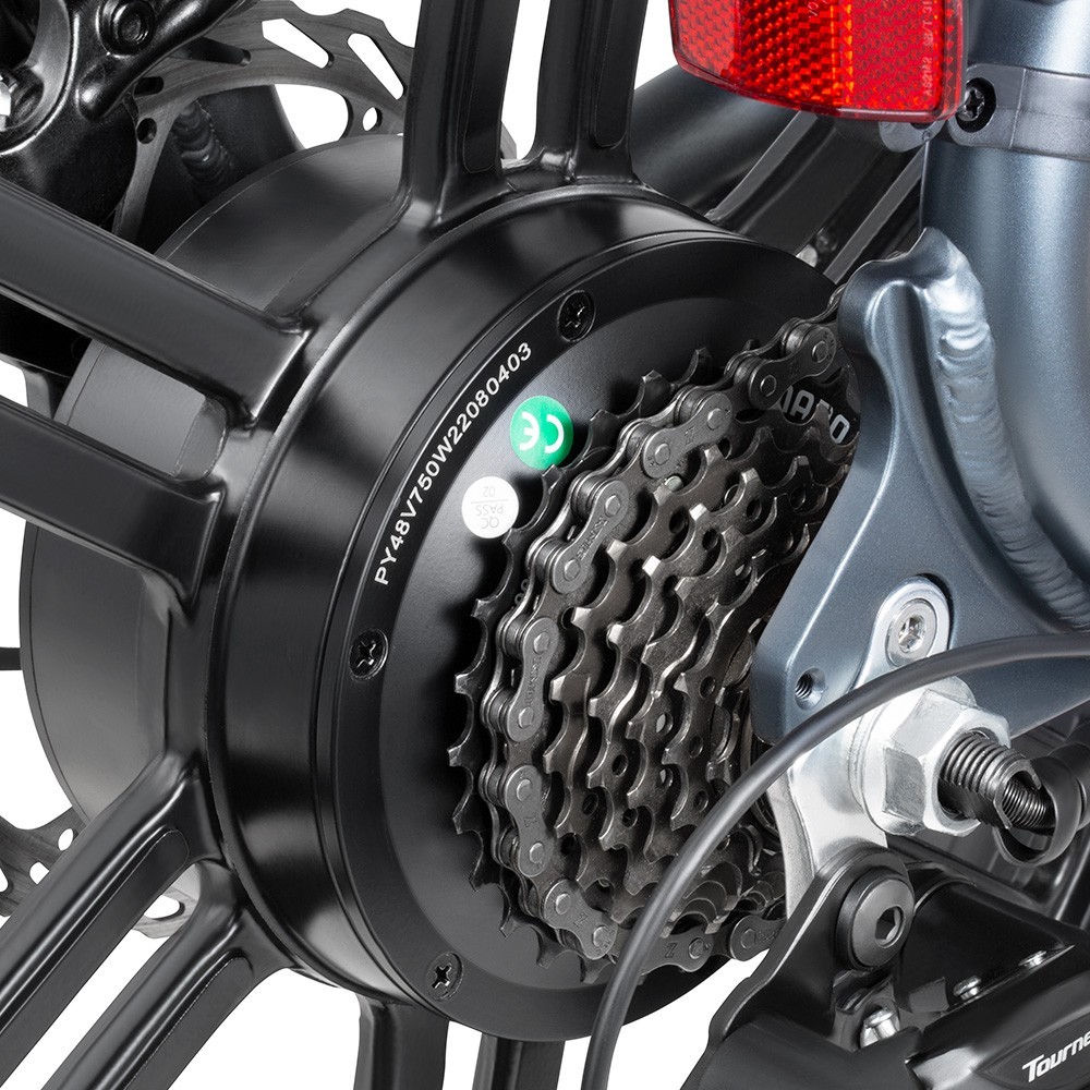 DYU V8 20 inch Electric Bike 48V 750W Motor