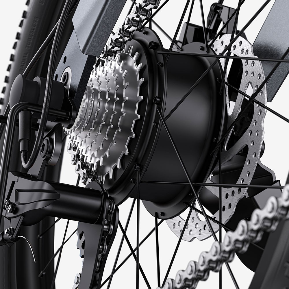 ENGWE C20 Pro E-bike 20 Inch 36V 15.6AH 25Km/h 250W Bafang Motor Grey