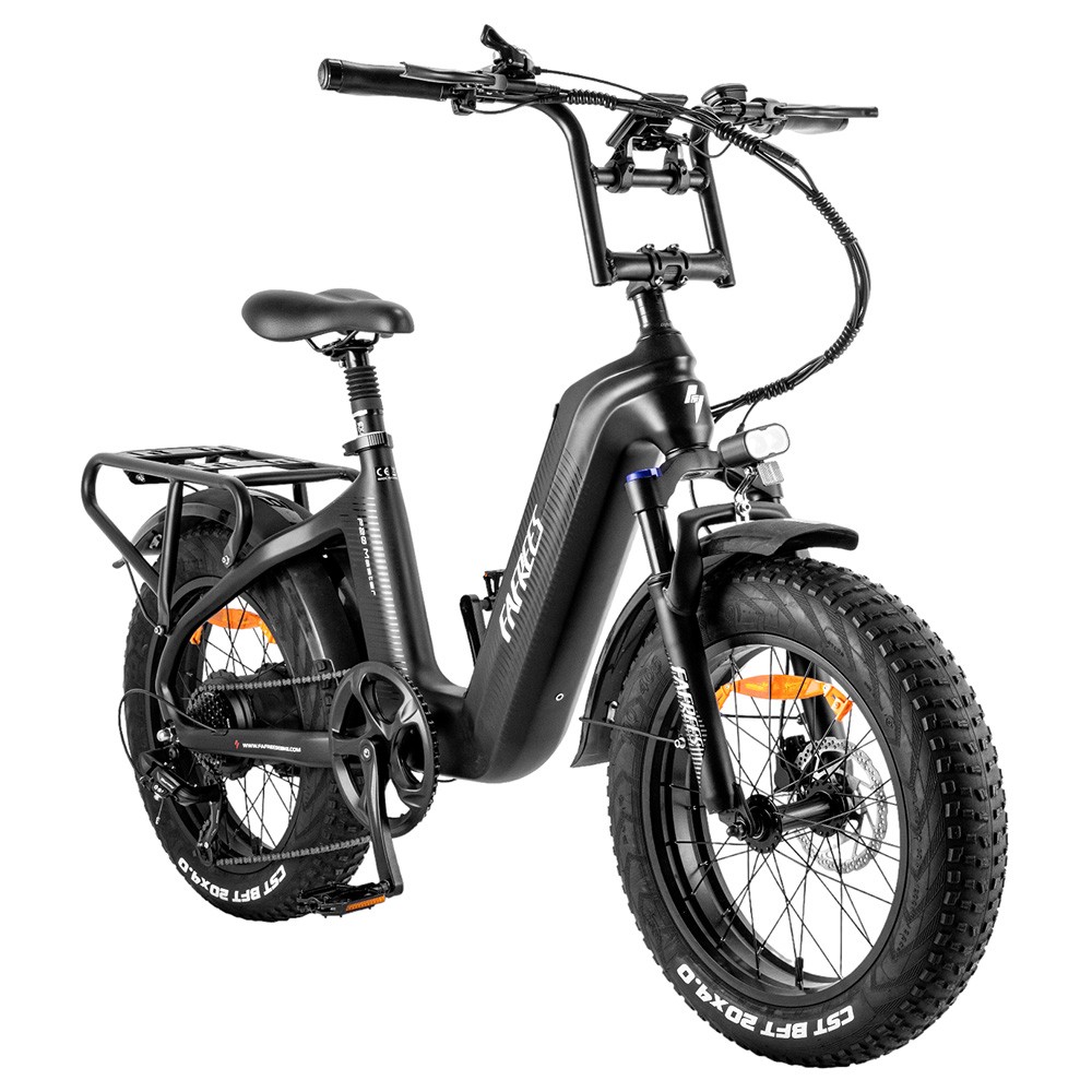 Fafrees F20 Master E-bike 20*4.0 Tire 500W Motor Black | Europe