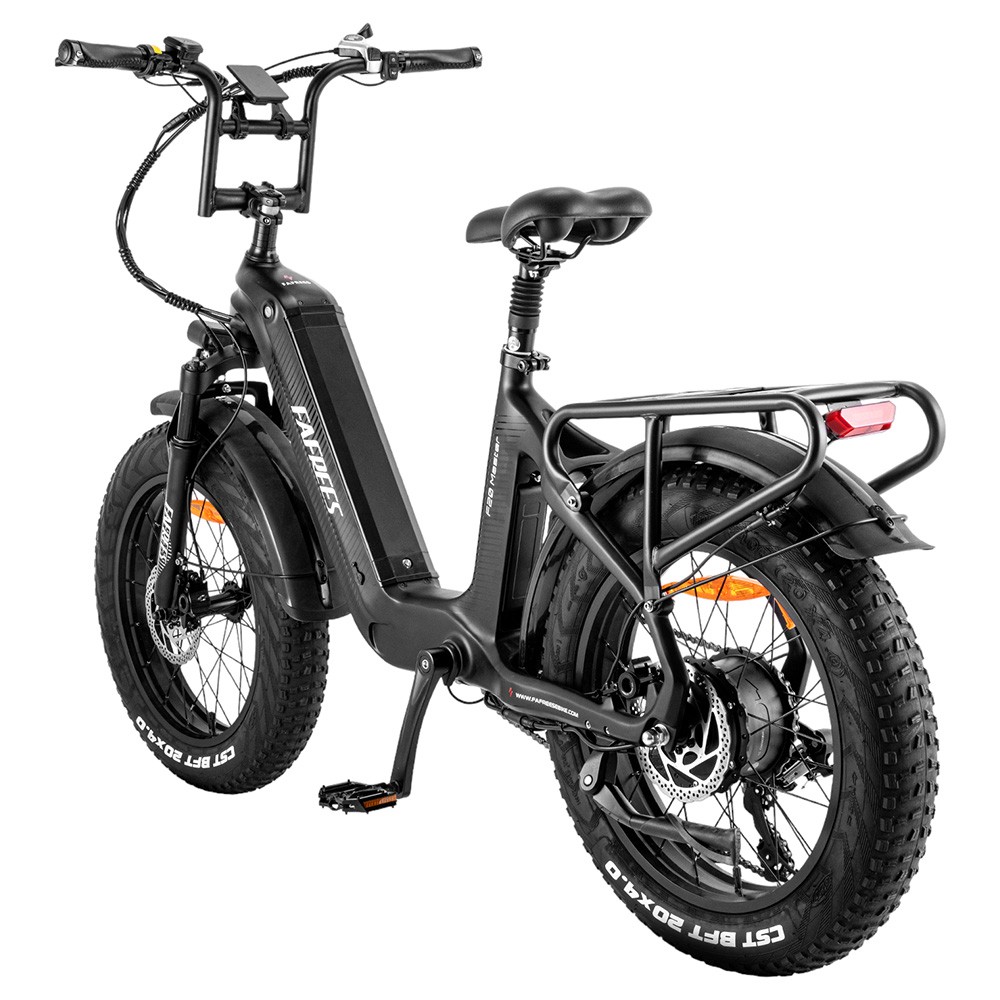 Fafrees F20 Master E-bike 20*4.0 Tire 500W Motor Black | Europe