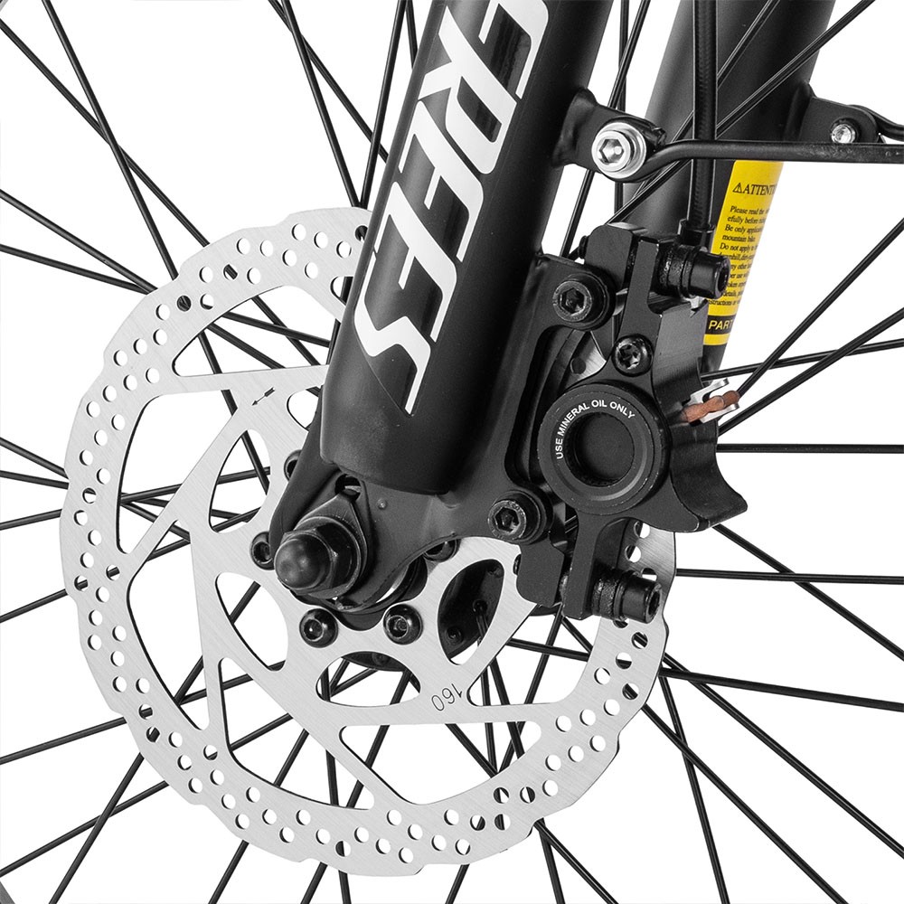 Fafrees F20 Master E-bike 20*4.0 Tire 500W Motor Green
