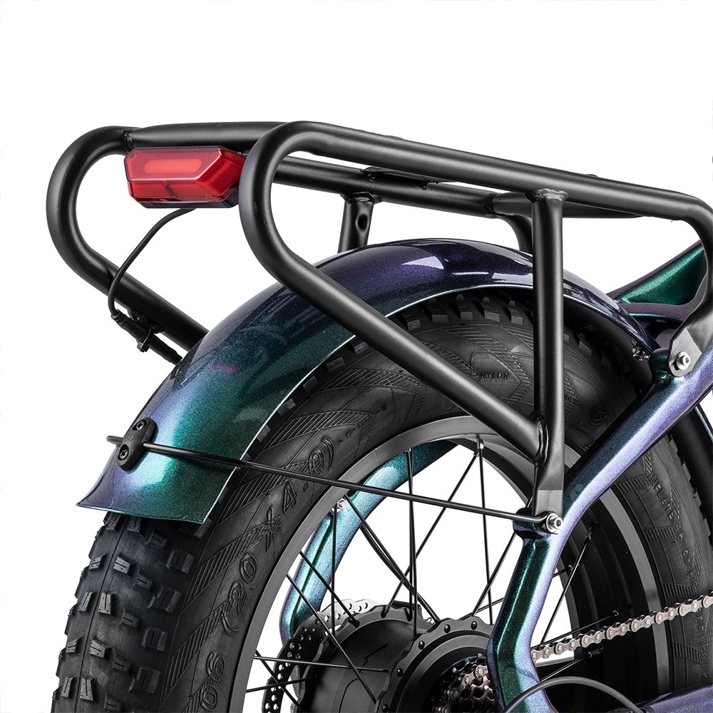Fafrees F20 Master E-bike 20*4.0 Tire 500W Motor Green