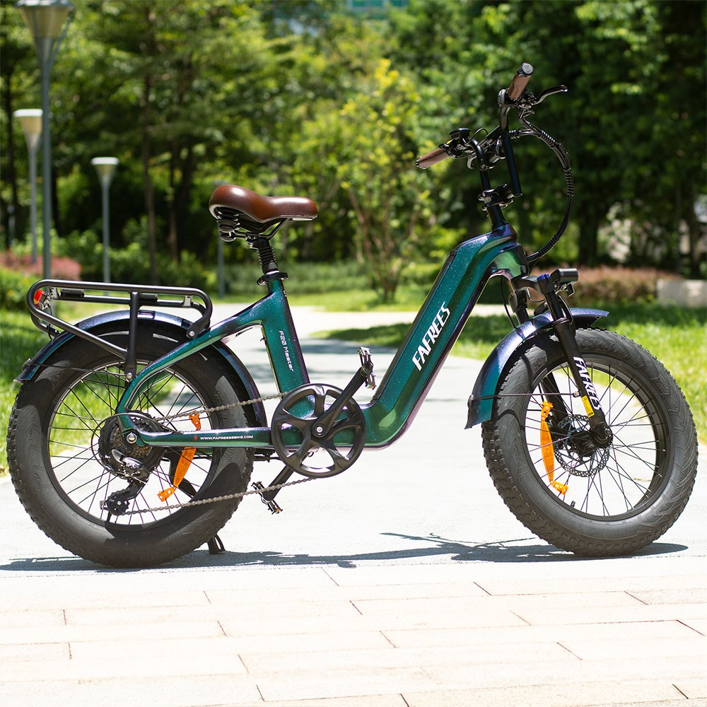 Fafrees F20 Master E-bike 20*4.0 Tire 500W Motor Green