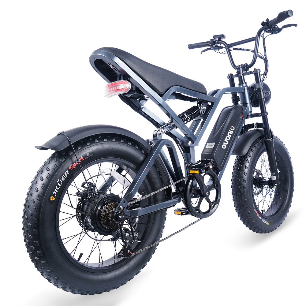 EUENI FXH009 Electric Bike 20 inch 750W Motor 48V 15Ah 45km/h Grey