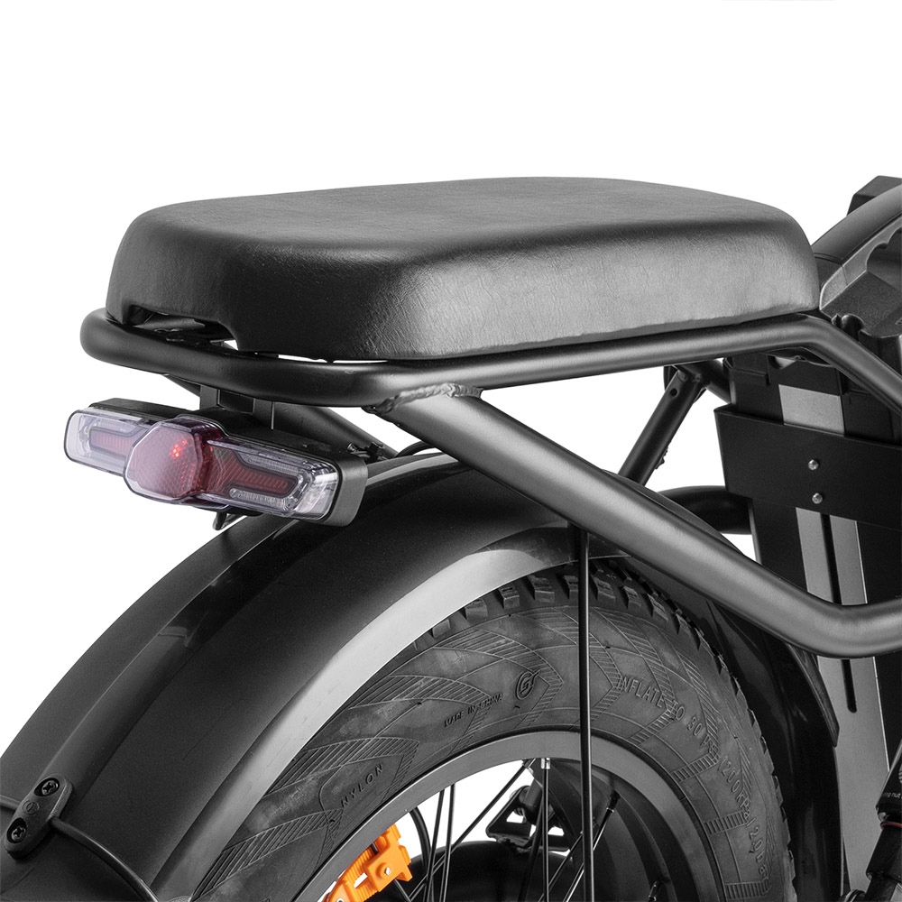 Fafrees F20 X-Max E-Bike 20 inch 25km/h 48V 30Ah 750W Motor - Black