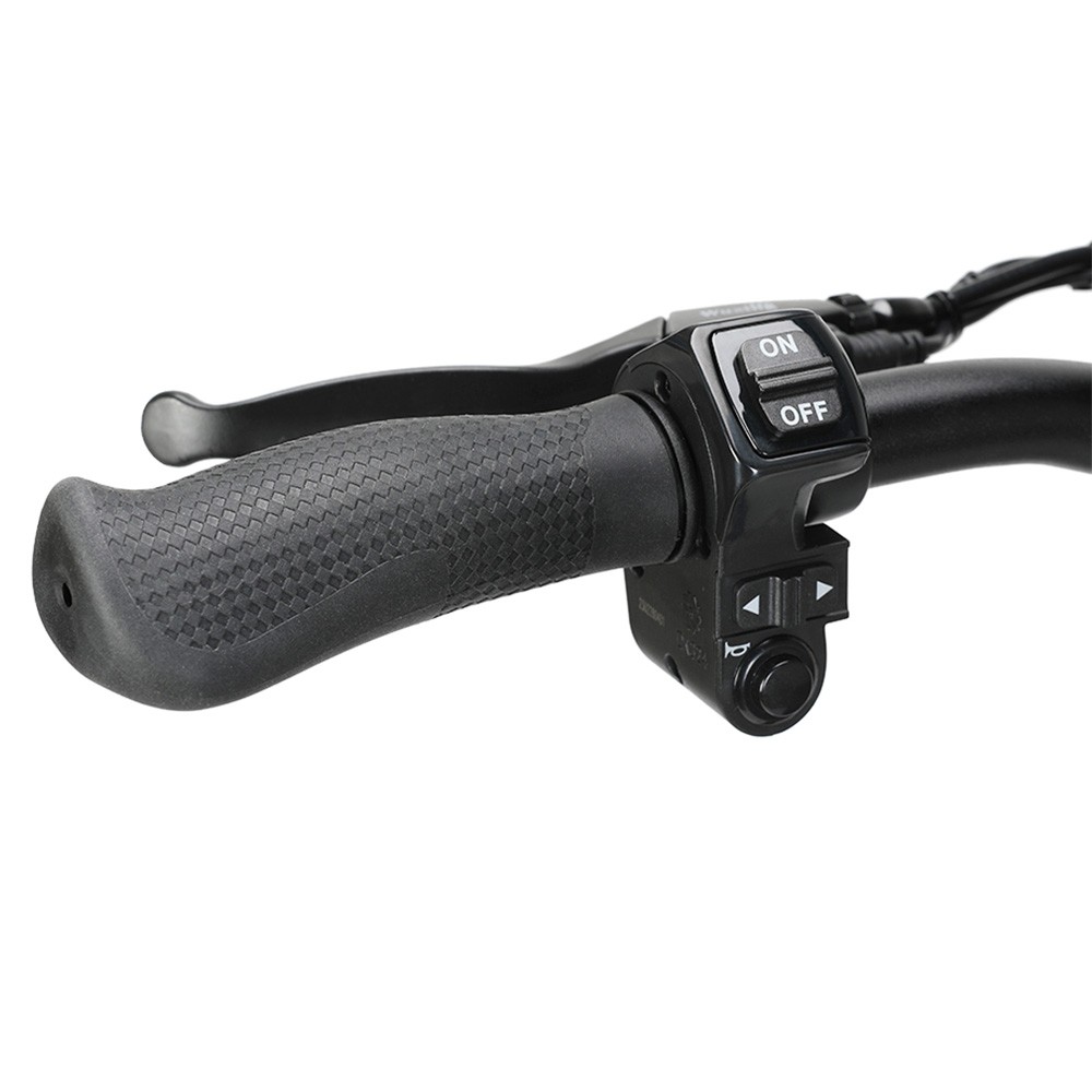 Refurbished Ausom Leopard Off-Road Electric Scooter