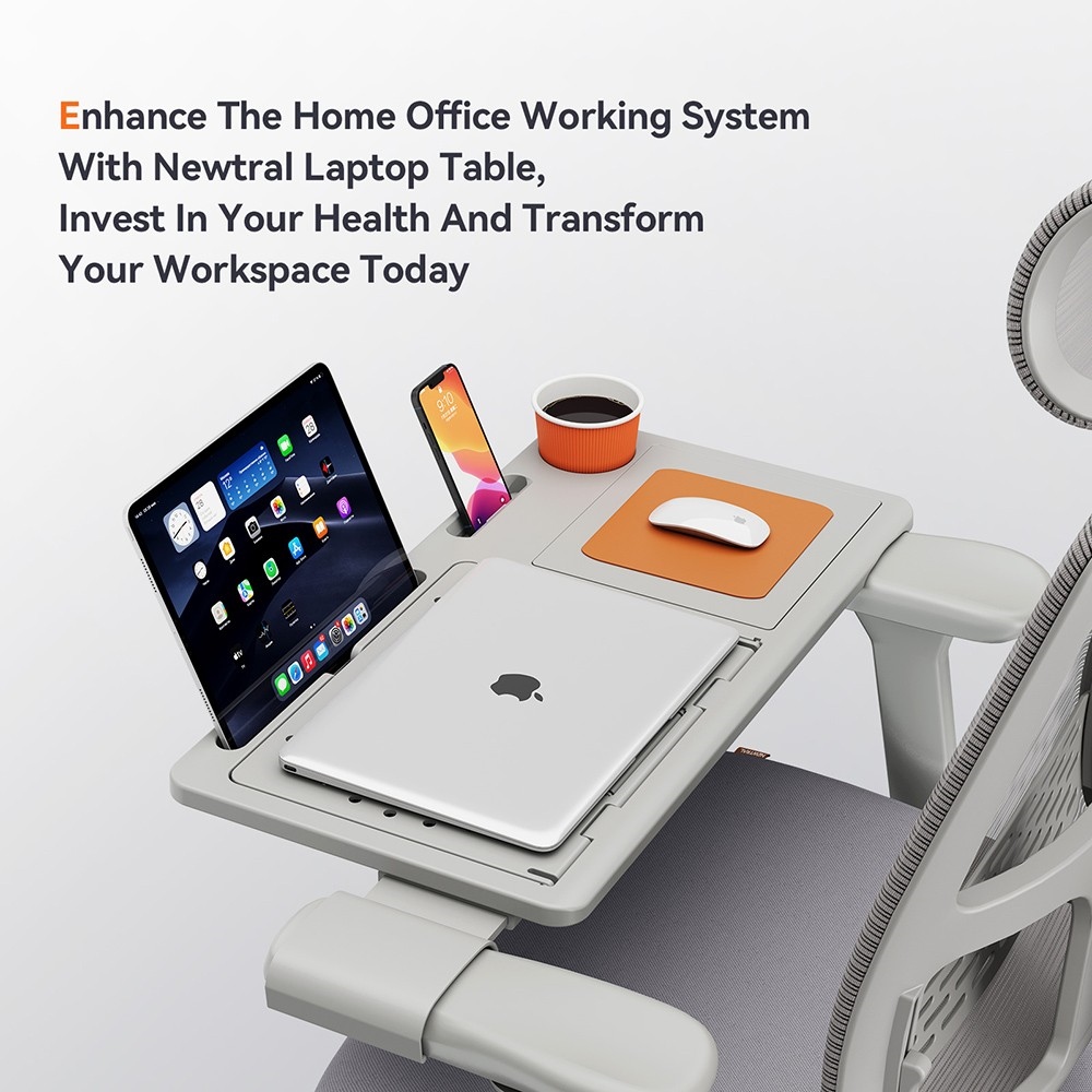 NEWTRAL LAPD Detachable Workstation Desktop Grey | Europe
