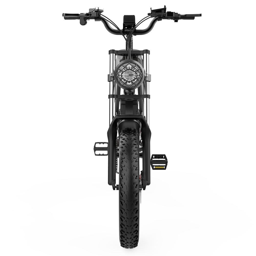 Ridstar Q20 Electric Bike 20 inch 1000W Motor 48V 20Ah 48km/h Speed ...