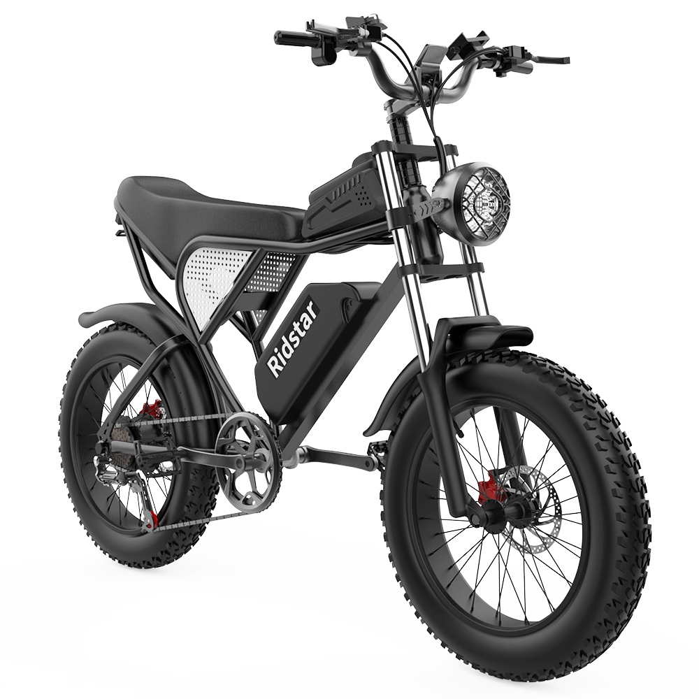 Ridstar Q20 Electric Bike 20 inch 1000W Motor 48V 20Ah 48km/h Speed