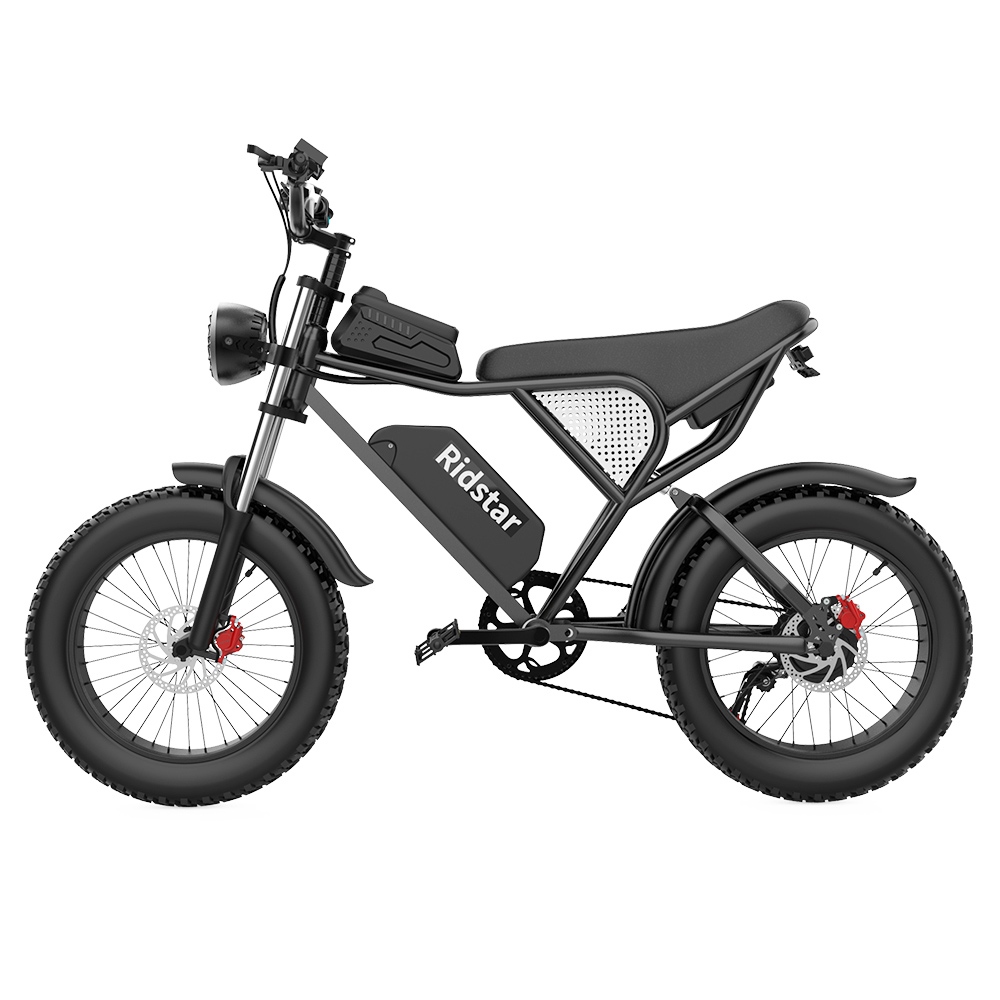 Ridstar Q20 Electric Bike 20 inch 1000W Motor 48V 20Ah 48km/h Speed ...