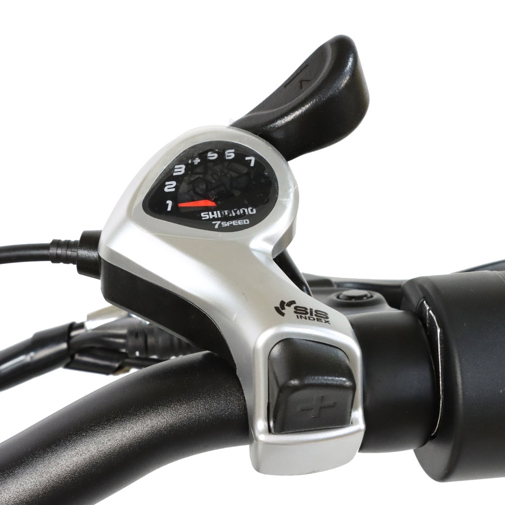BAOLUJIE DZ2030 Electric Bike 500W Motor 48V 13AH 40km/h Speed - Grey
