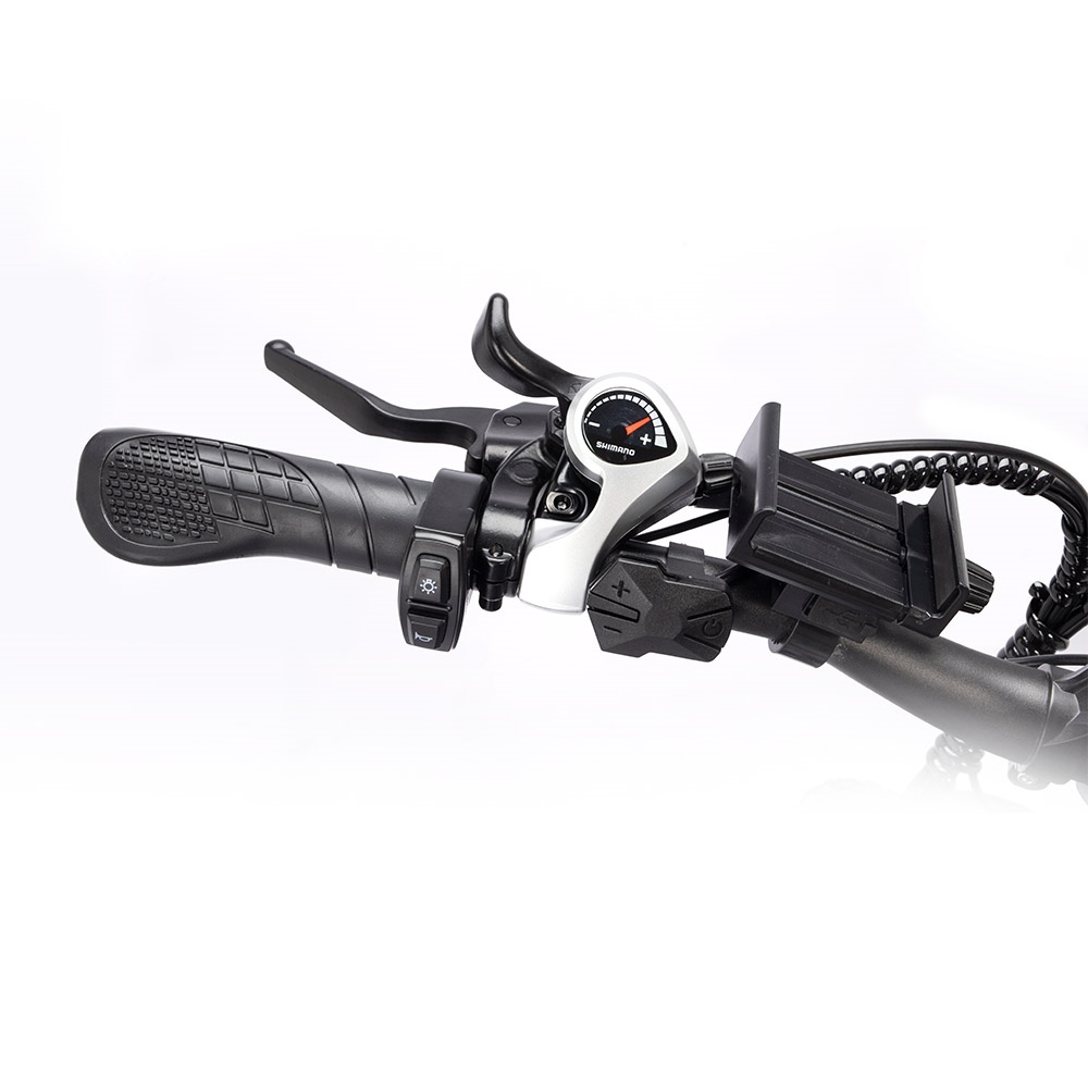 Ridstar H26 Pro E-Bike 26*4.0 inch Fat Tires 1000W Motor Max 120km Range