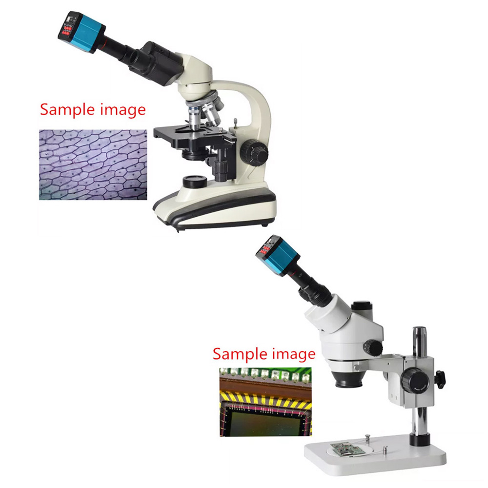 HAYEAR 51MP Microscope Camera EU Plug