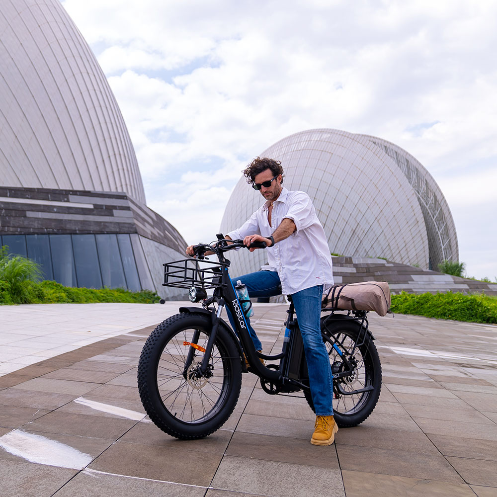 Ridstar MN26 Electric Bike 750W Motor