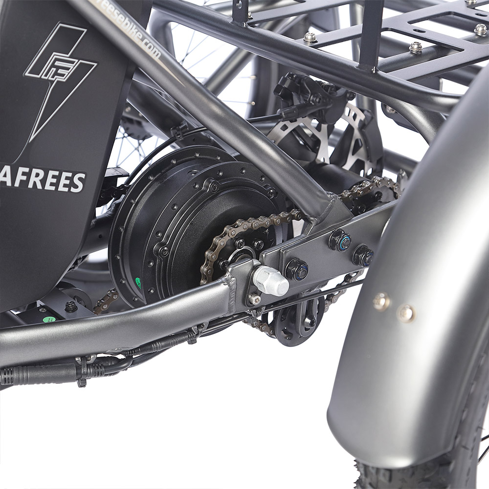 FAFREES F20 Mate Electric Tricycle Black | Europe