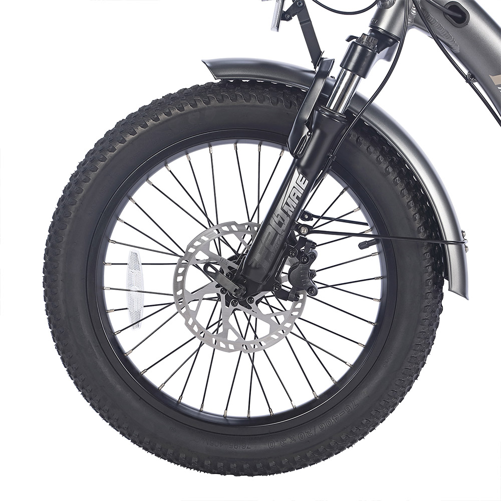 FAFREES F20 Mate Electric Tricycle Black | Europe