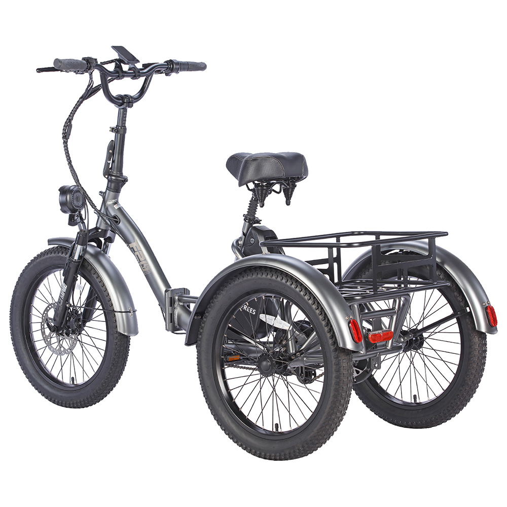 FAFREES F20 Mate Electric Tricycle Black | Europe