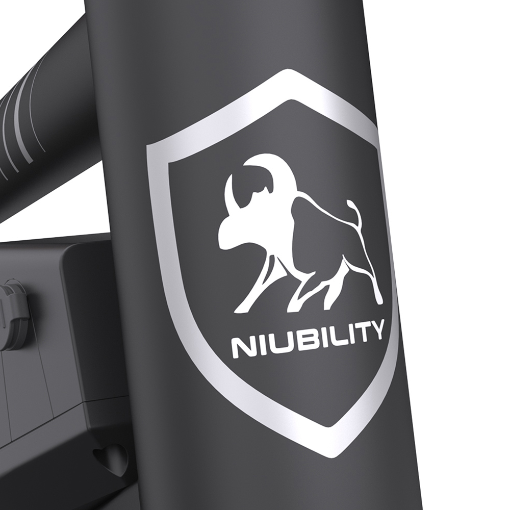 Niubility B16S 16-inch Electric Bike 350W 14.5Ah Max 60km Range