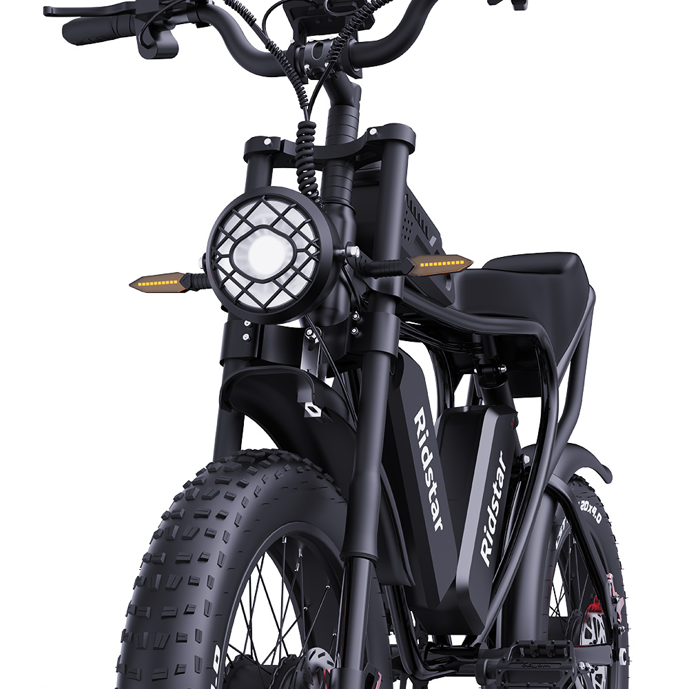 Ridstar Q20 Pro E-Bike 2000W Motor 55km/h Speed 52V 20Ah Dual Battery