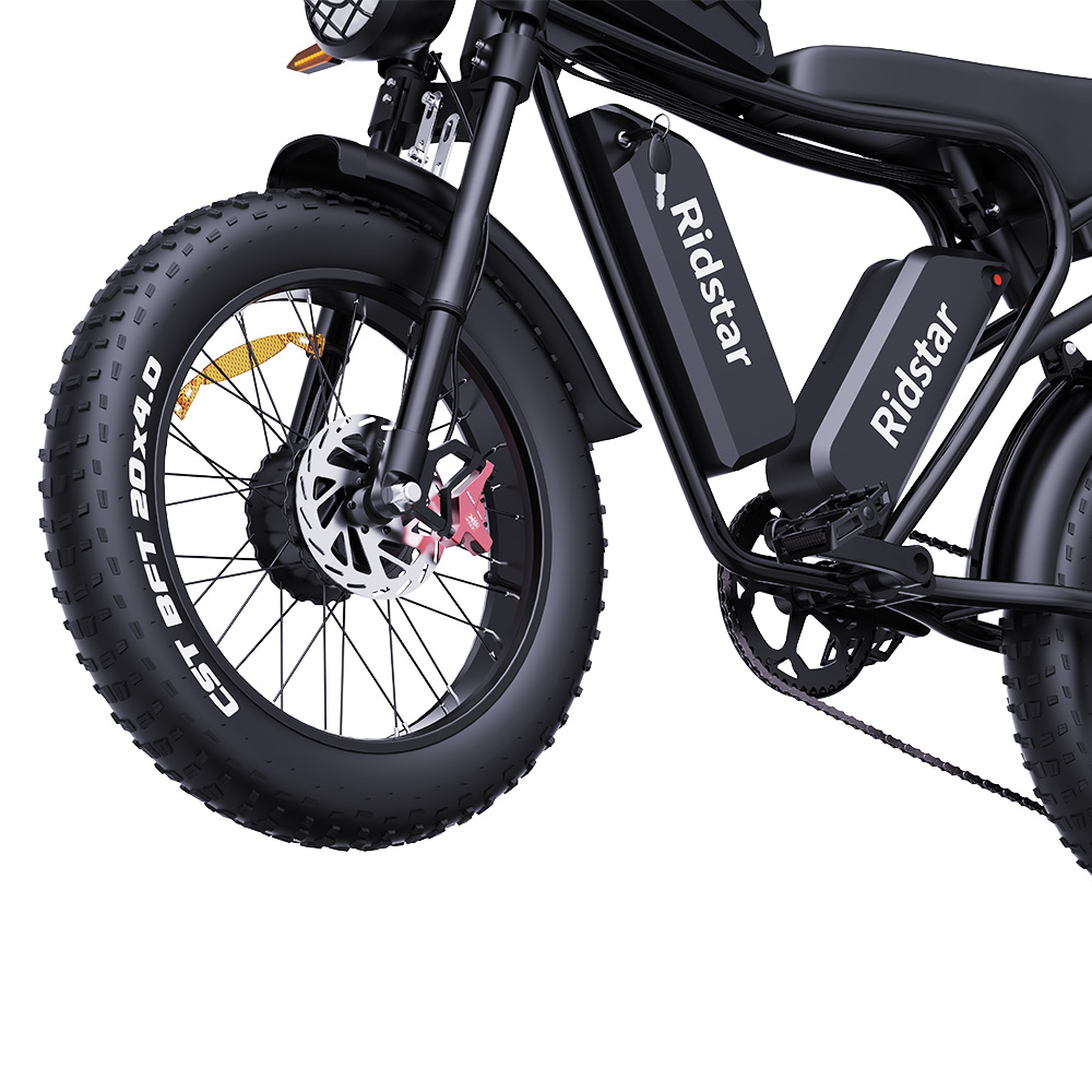 Ridstar Q20 Pro E-Bike 2000W Motor 55km/h Speed 52V 20Ah Dual Battery