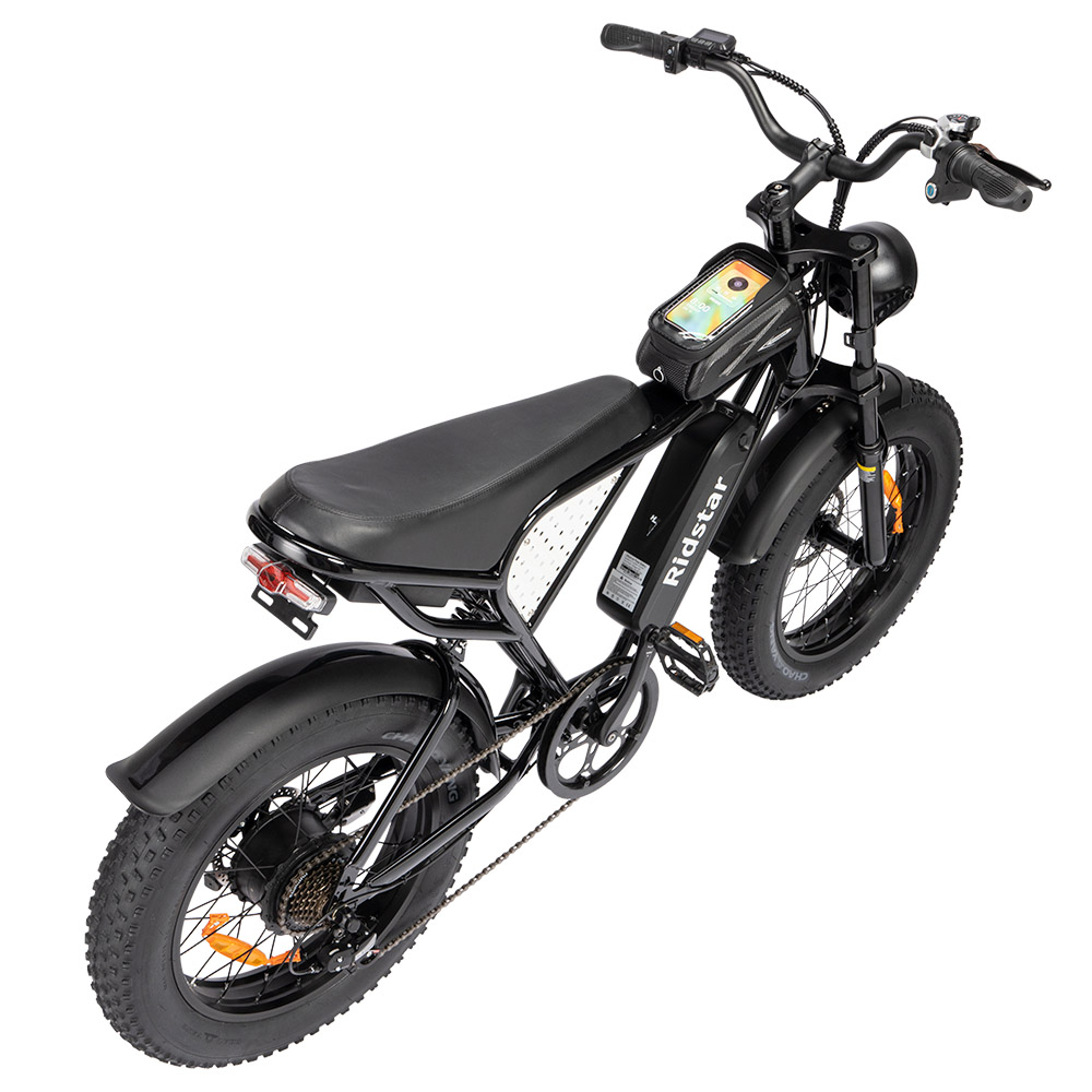 Ridstar Q20 Mini Electric Bike
